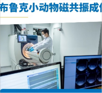 Introduction to BRUKER small animal MRI – Biosciences Central Research ...