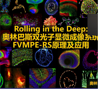 The Principle and Application of Olympus Two Photon Microscopic Imaging ...