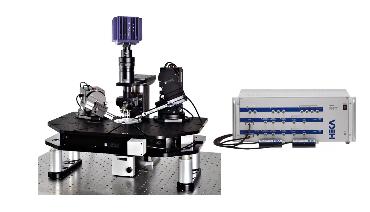 Brain Slice Patch Clamp – Biosciences Central Research Facility(GZ)